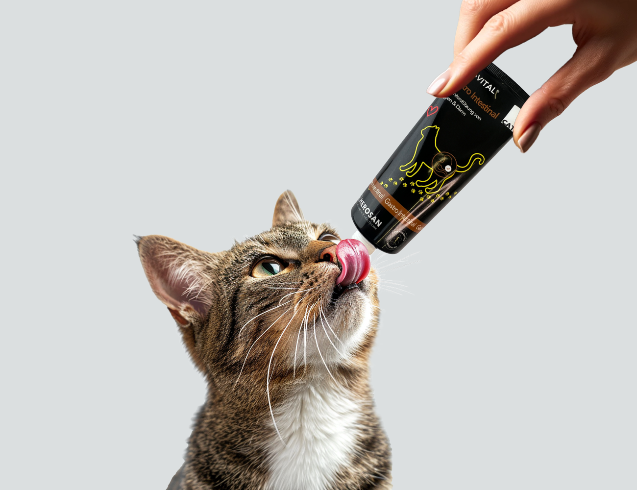 entoVITAL CAT gastro intestinal - HEROSAN healthcare