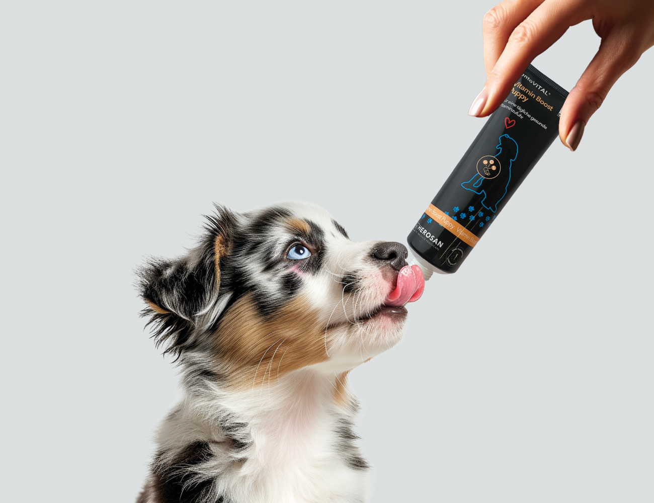 entoVITAL DOG vitamin boost PUPPY - HEROSAN healthcare